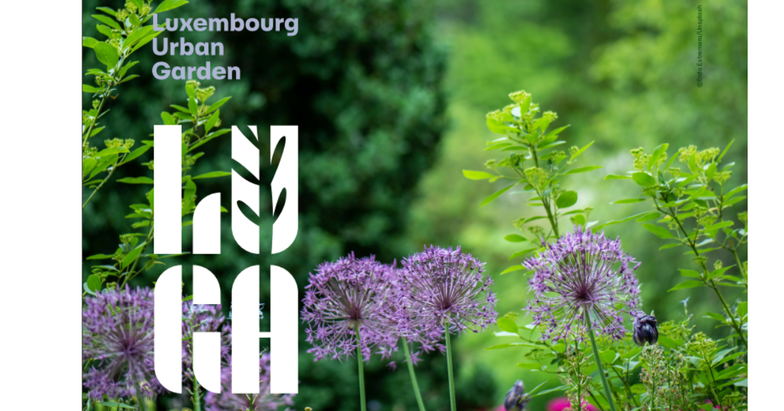 LUGA 2025 : soumettez votre projet et révélez l'invisible