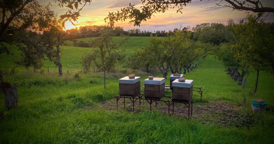Une belle solidarité au sein des apiculteurs
